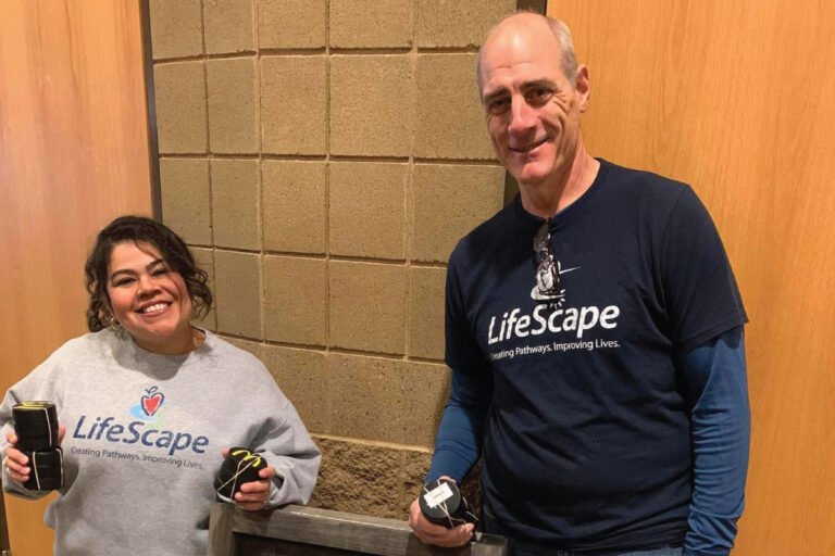 Foundation - LifeScape