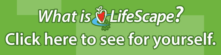 What is LifeScape - LifeScape
